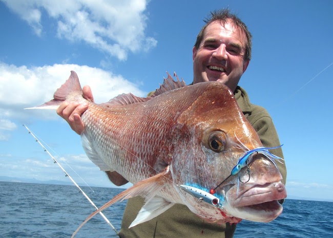 Gallery | peeex.co.nz